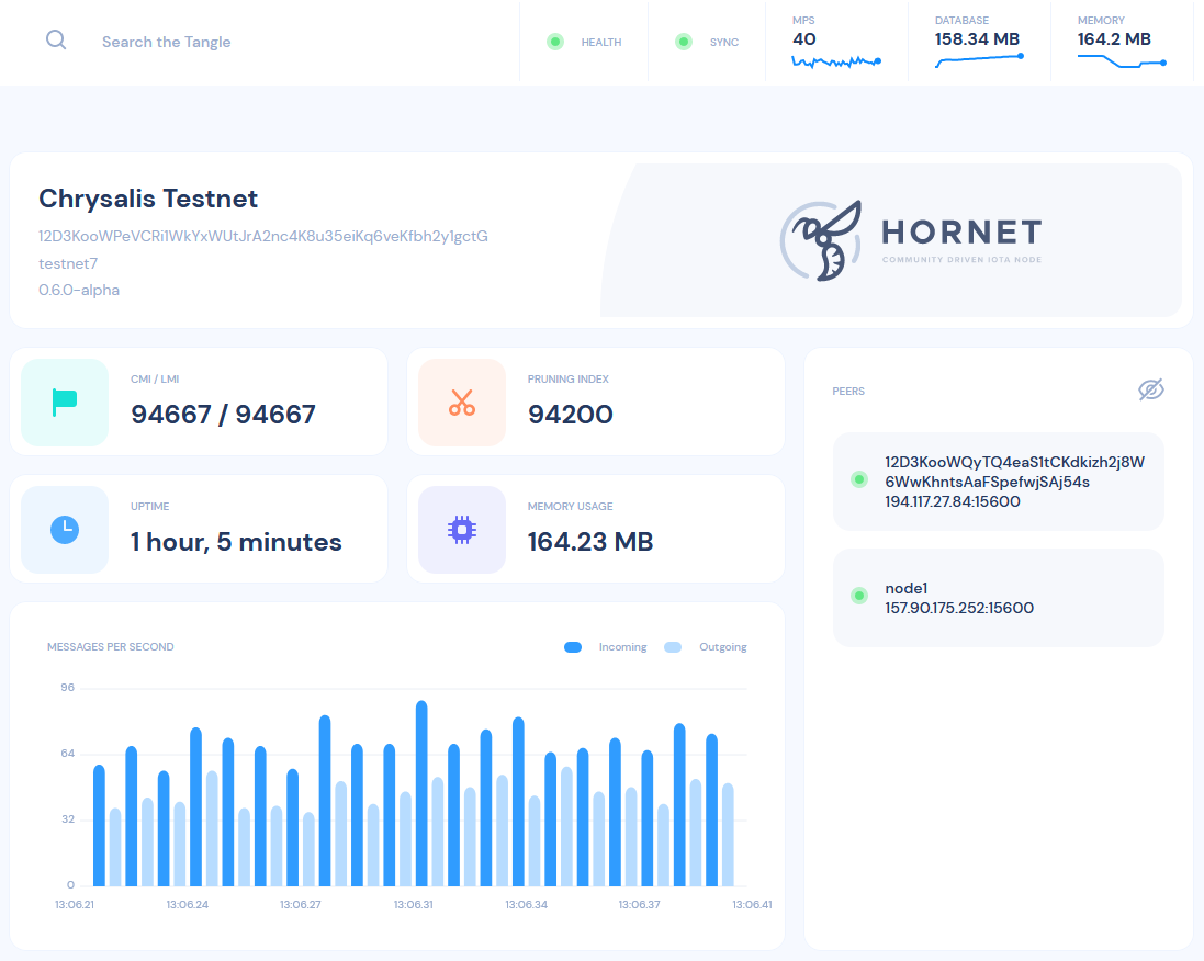 Build and run an IOTA HORNET node on Windows - Hochrhein Engineering